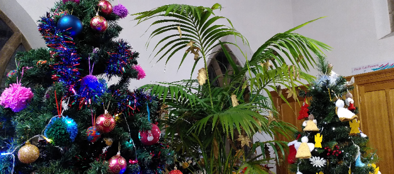 Knighton Christmas Tree Festival selects Lamp as its Charity of the ...